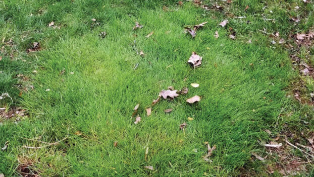 Lifestyle | Salisbury Post