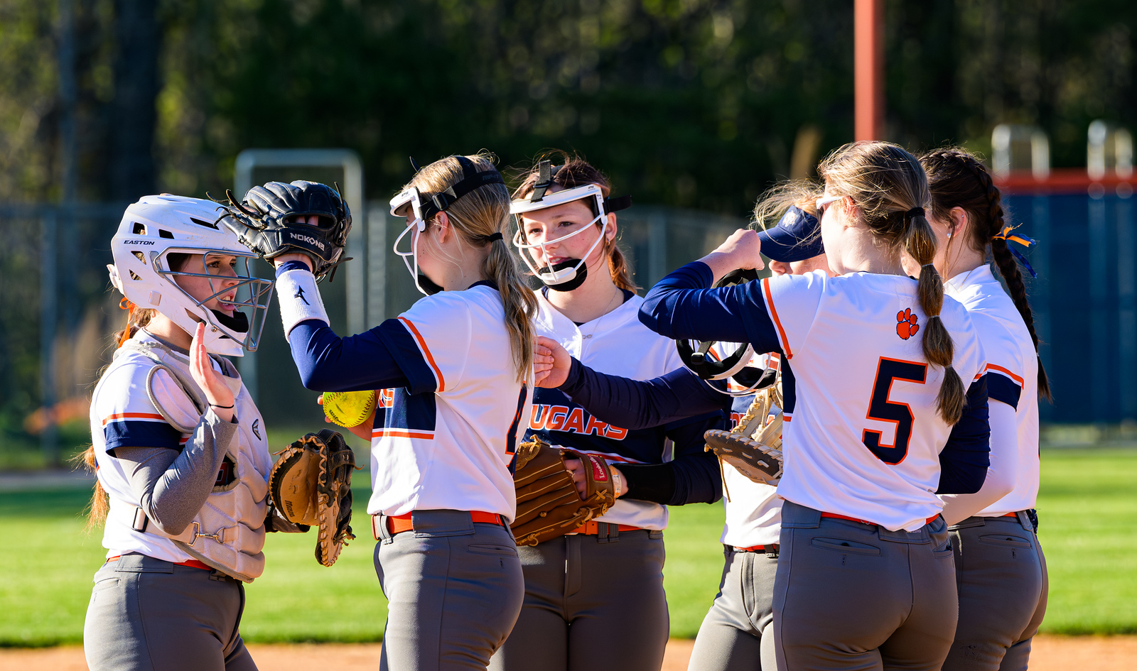 High school softball roundup: Snow pitches no-hitter for Cougars; West ...