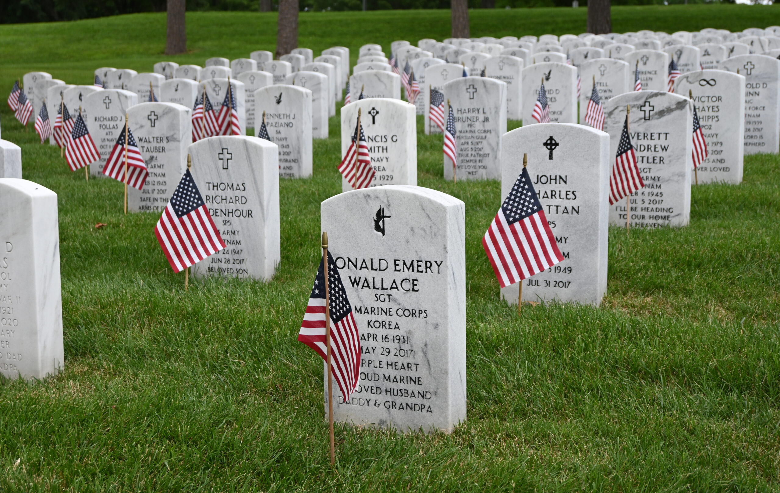 Flags of the fallen: scouts plant flags for veterans on Memorial Day ...