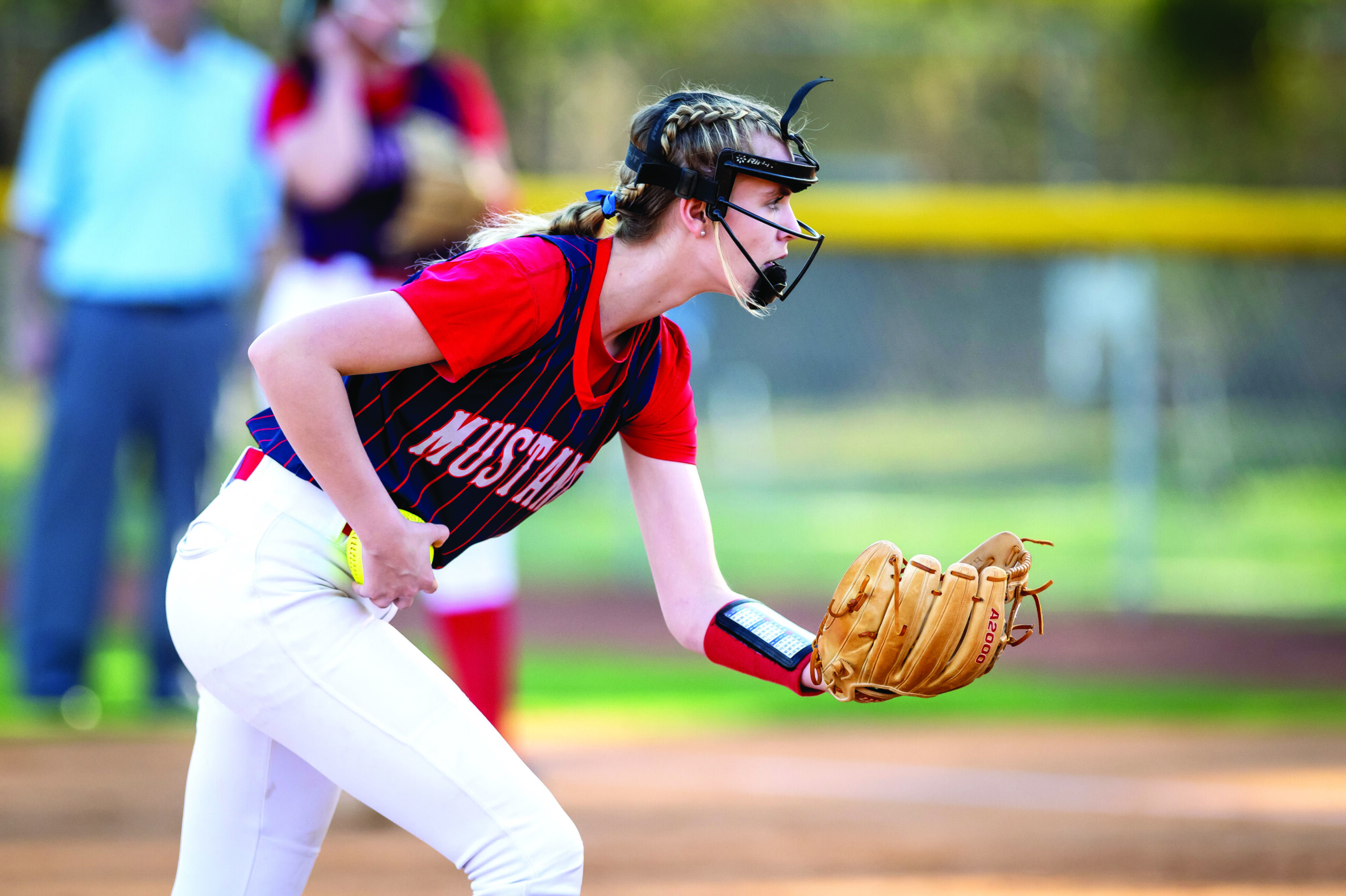 High school softball: Clarke, Tigert lead All-Rowan County team ...