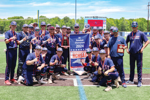 High school baseball: Line drives mean third state championship for ...