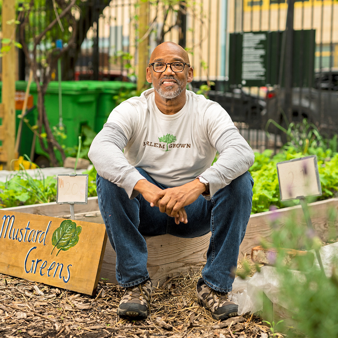 Joining the team: Happy Roots Board adds Harlem Grown founder and CEO ...