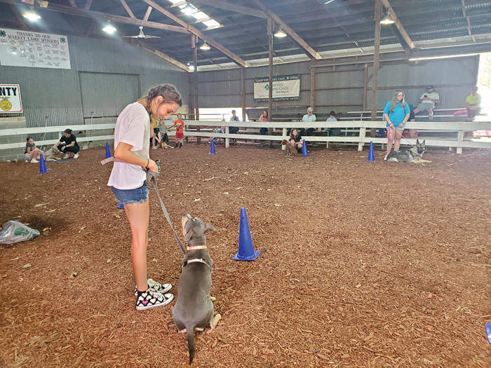 Laura Allen: Register now for the Playful Paws 4-H SPIN Club ...