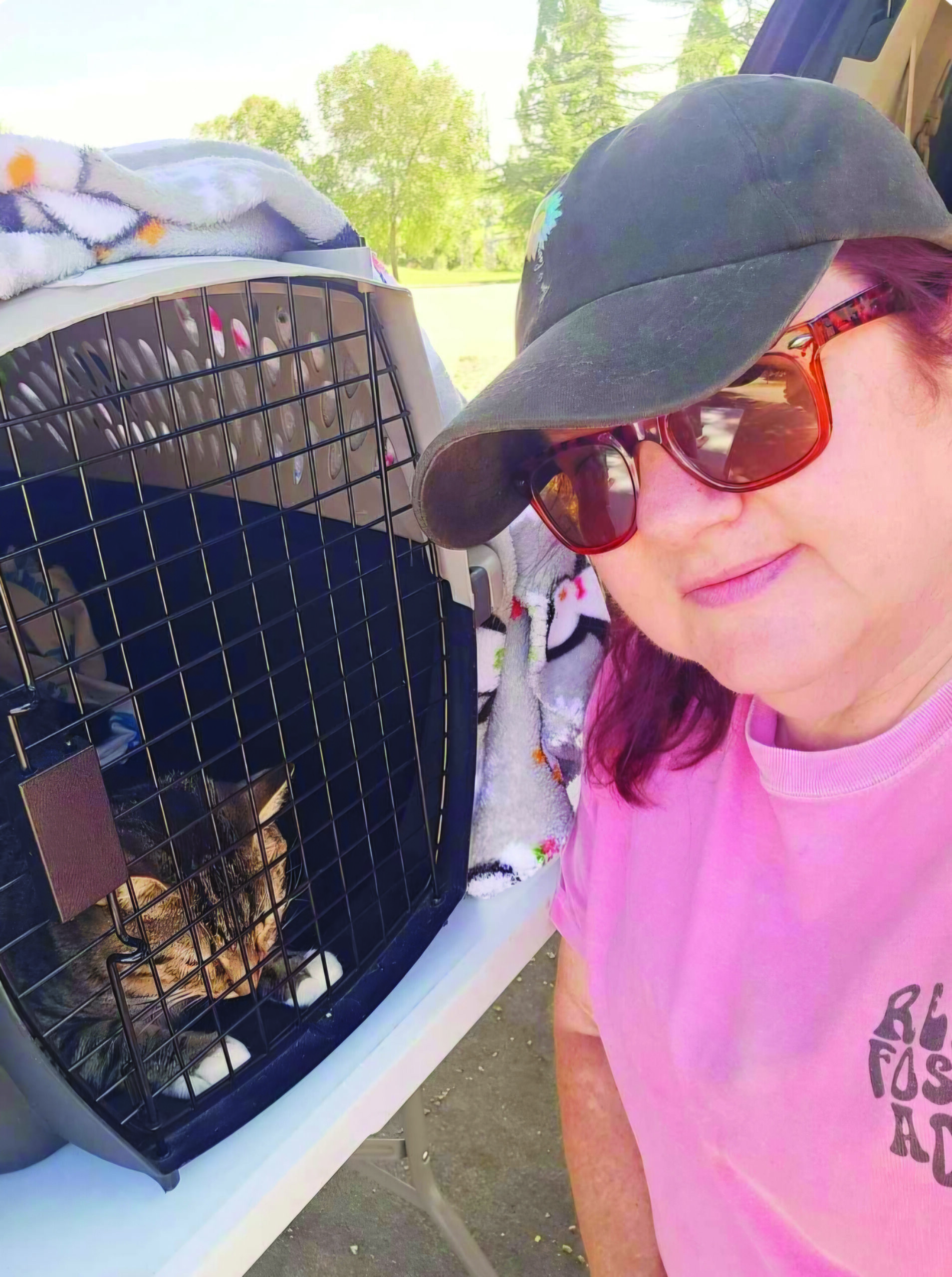 Neuter Scooter gets new partner to offer low-cost clinics for pets ...