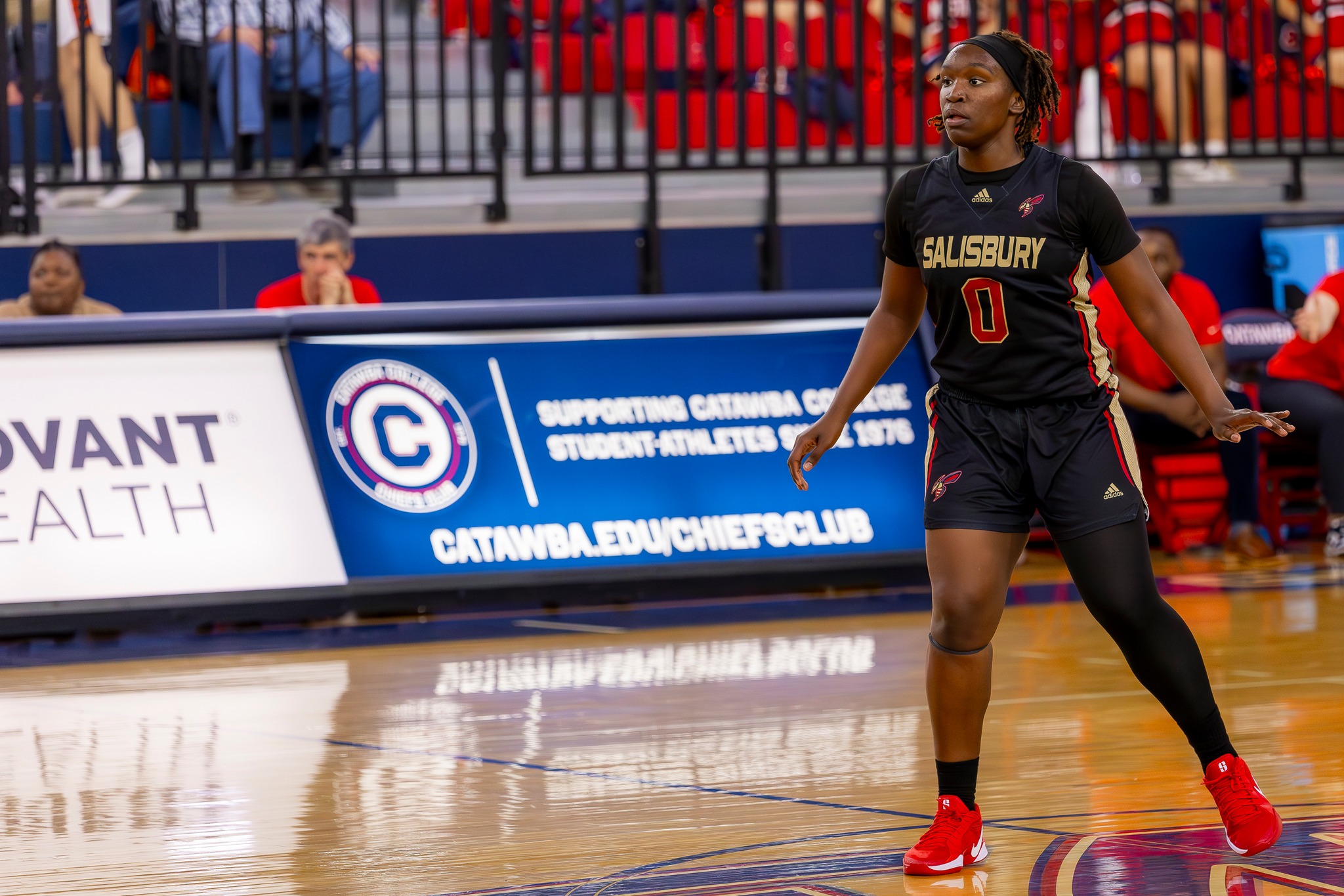 CCC girls basketball: Road losses for Hornets, Cavaliers | Salisbury Post