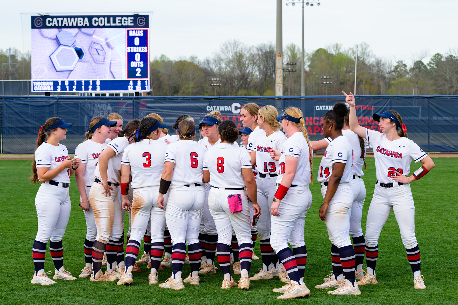 College softball: Good splits for Catawba Indians | Salisbury Post