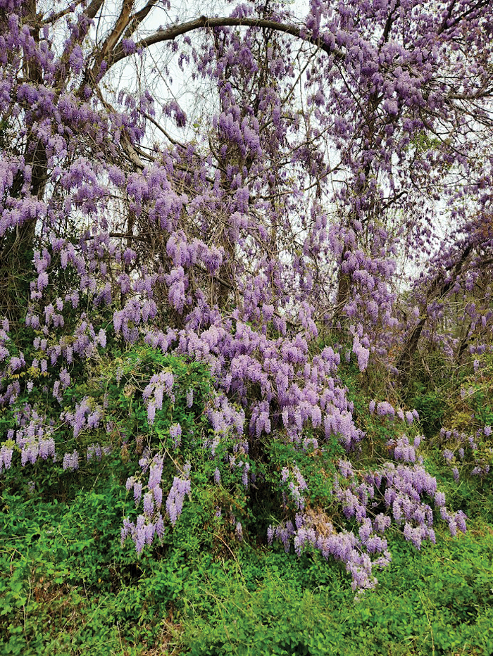 Darrell Blackwelder: People seem to have a love/hate relationship with ...