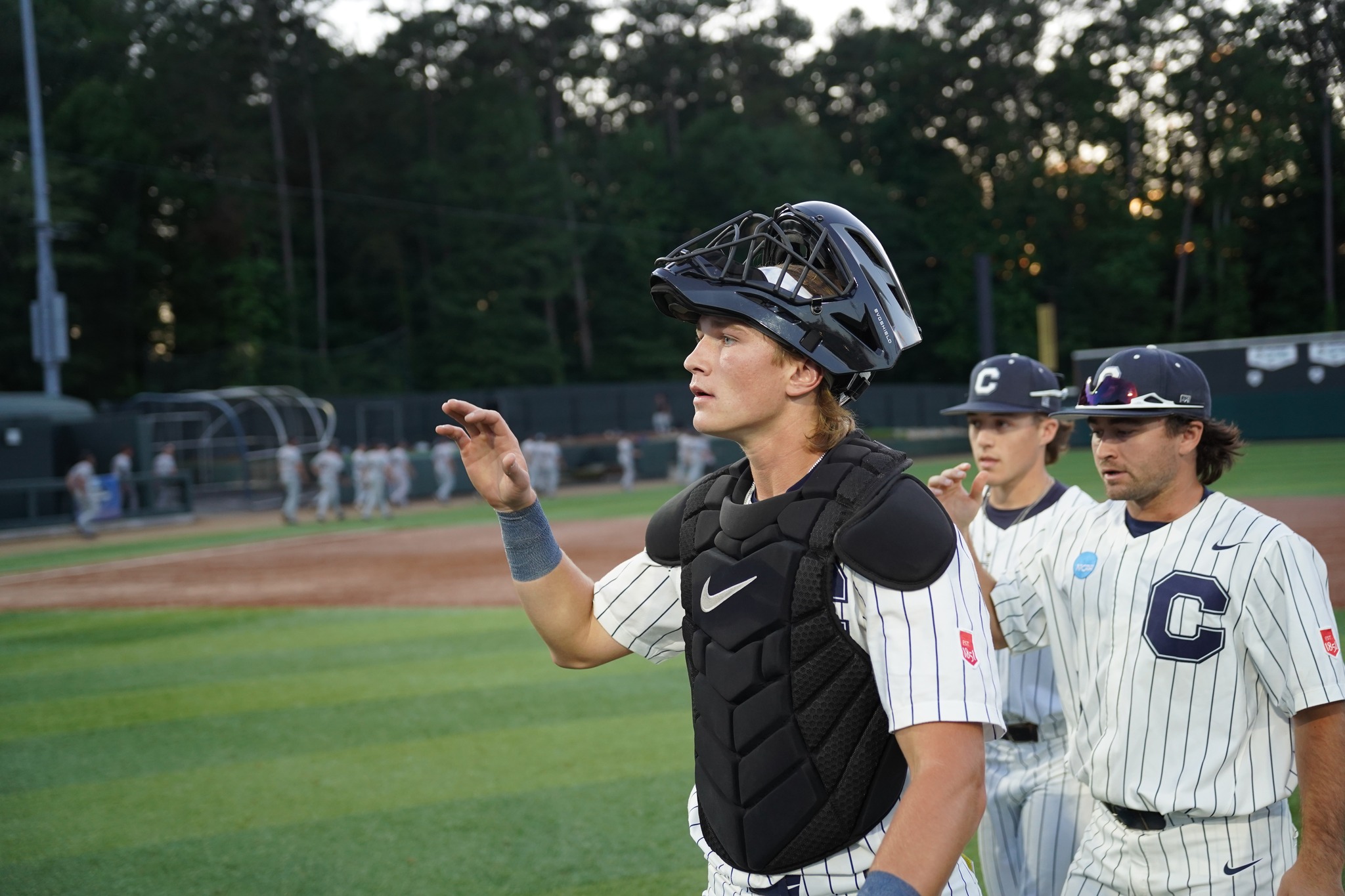 College baseball: Bears beat Catawba to set up Saturday showdown ...